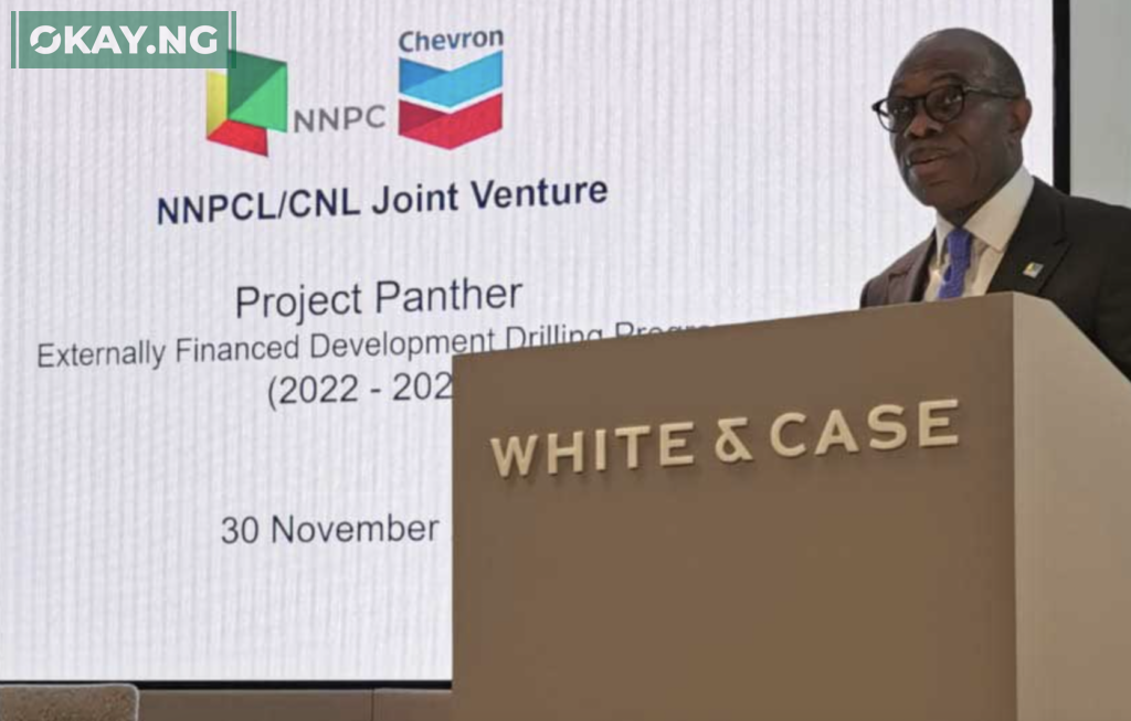 NNPCL/CNL Joint venture secures $1.4bn financing for infill drilling ...
