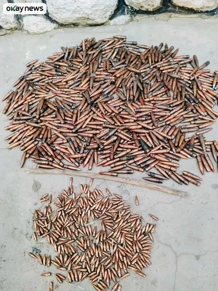 Borno Police Uncover Large Cache Of Military-Grade Ammunition In ...
